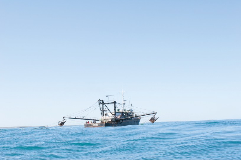 The High Seas Treaty and the Protection of Marine Biodiversity: Towards ...